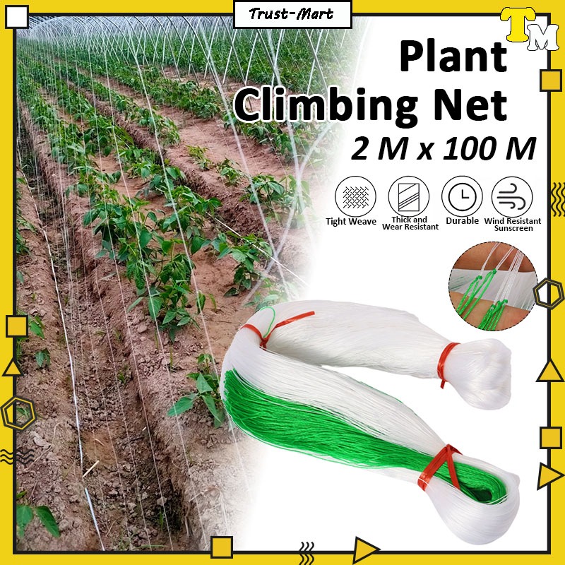 Plants Support Garden Net Gardening Plant Climbing Net Climbing Support ...