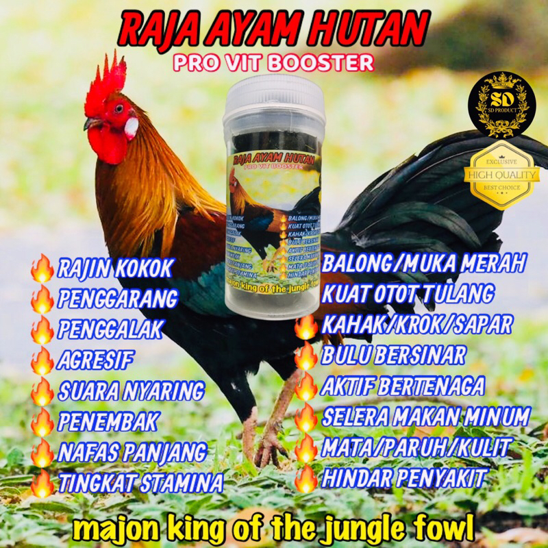 Raja majon ayam hutan limited edition | Shopee Malaysia
