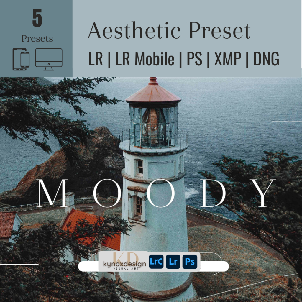 [Lightroom Preset] Aesthetic Preset - Moody for LR/LR(mobile)/PS ...