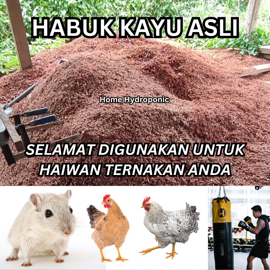 (2KG) HABUK KAYU UNTUK TERNAKAN HAIWAN | Shopee Malaysia