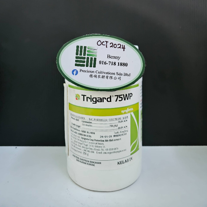SYNGENTA Trigard 75WP Insecticide 250g | Shopee Malaysia