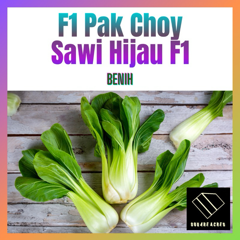 2.5g Benih F1 Pak Choy Seed | Shopee Malaysia