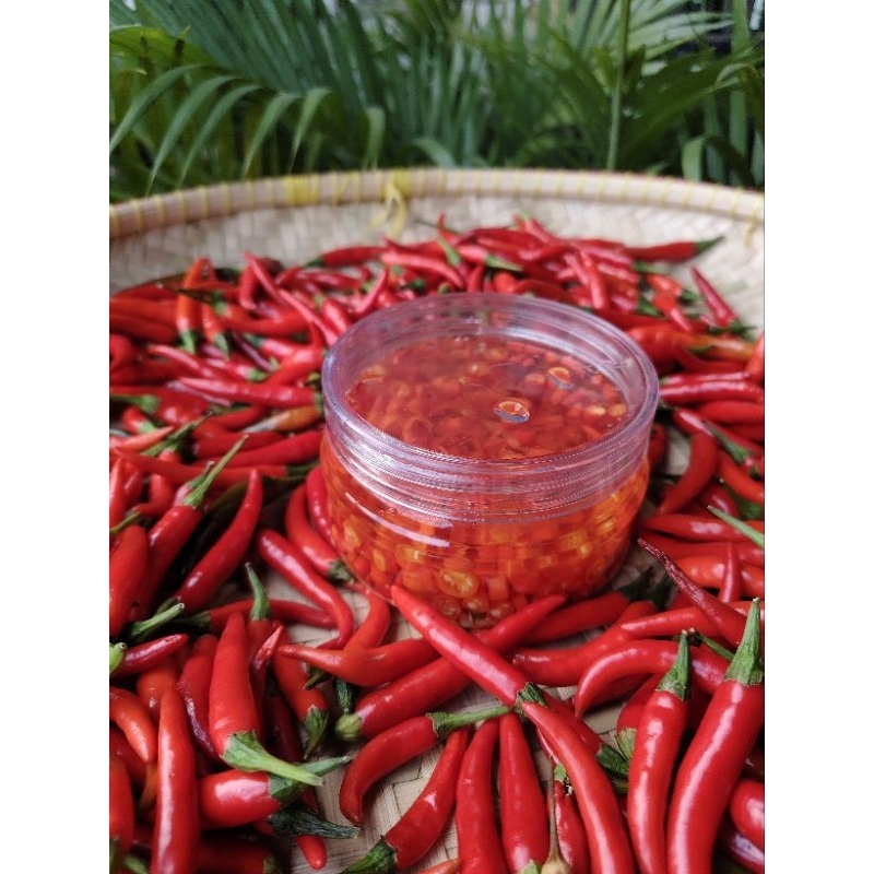 Jeruk Cili Merah / Pickled Red Chili 400gram RM8.90 | Shopee Malaysia