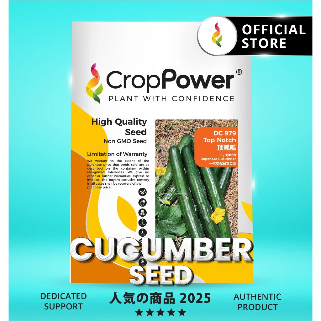 (5 GRAM/10 GRAM) Biji Benih Timun Jepun Top Notch 顶呱呱 DC979 CROP POWER ...