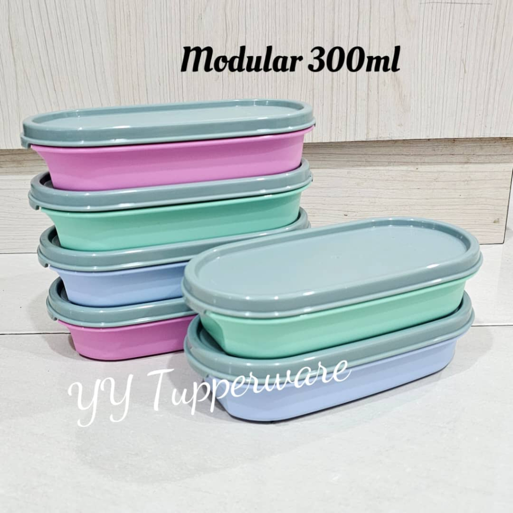 Tupperware MM Modular Mates 250ml (2 PCS / 3 PCS / 6 PCS) | Shopee Malaysia