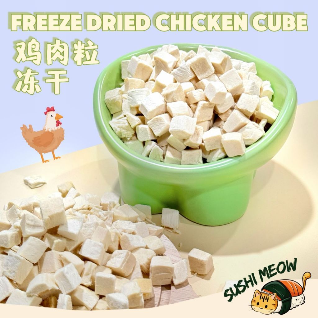 Freeze Dried Chicken Cube Cat Treat Snek Kucing Makanan Kucing Makanan ...