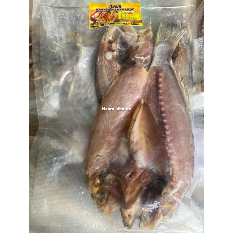(350g-400g) Ikan Gelama Bekok/Ikan Bekok Kelantan | Shopee Malaysia