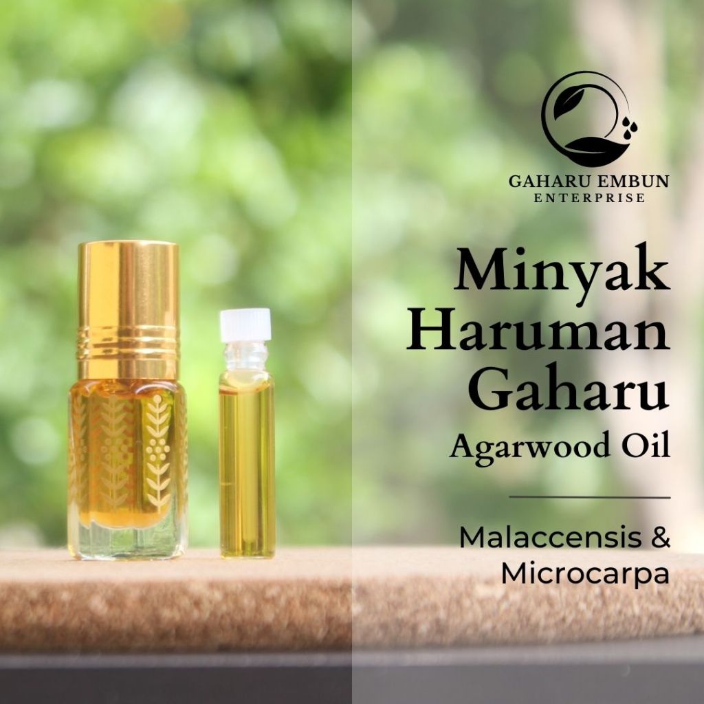 GAHARU EMBUN Minyak Haruman Gaharu Aquilaria Malaccensis & Microcarpa ...