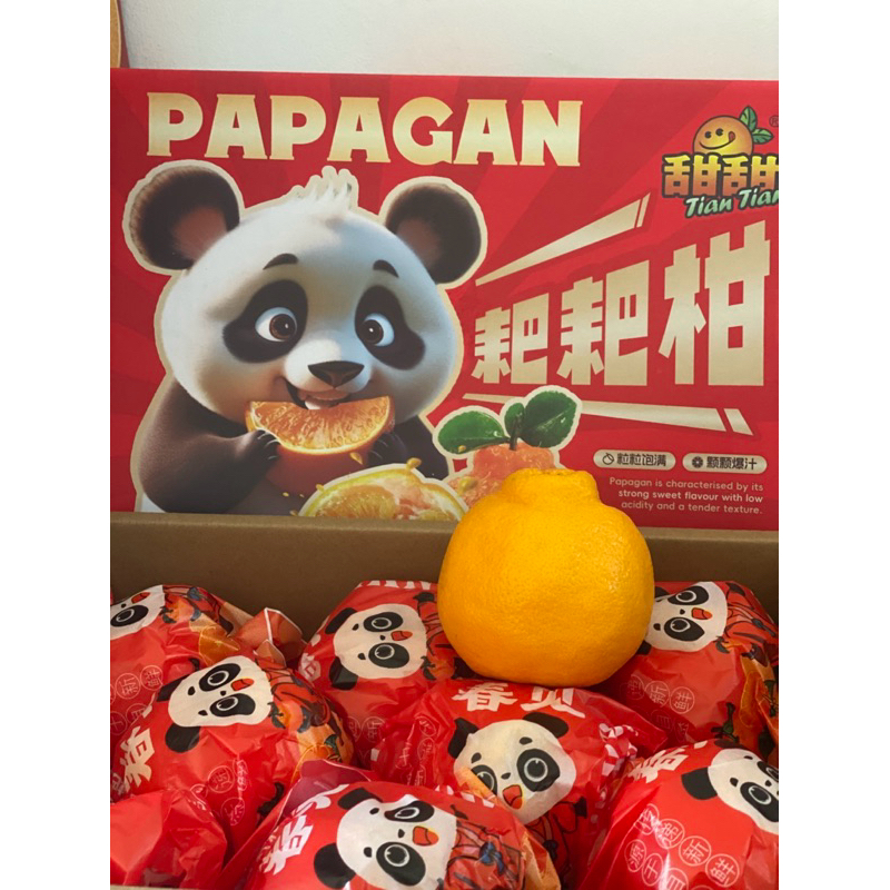 2025年蛇年春节Tian Tian Papagan 2kg (8pcs) 甜甜耙耙柑2公斤 Mandarin Orange椪柑 ...