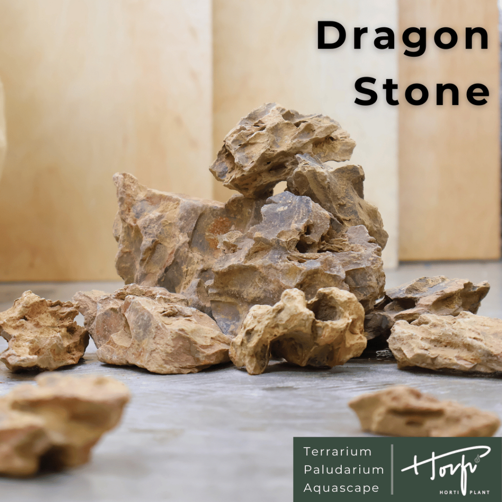 [Horti] Dragon Stone – Aquascape, Terrarium, Paludarium Hardscape ...