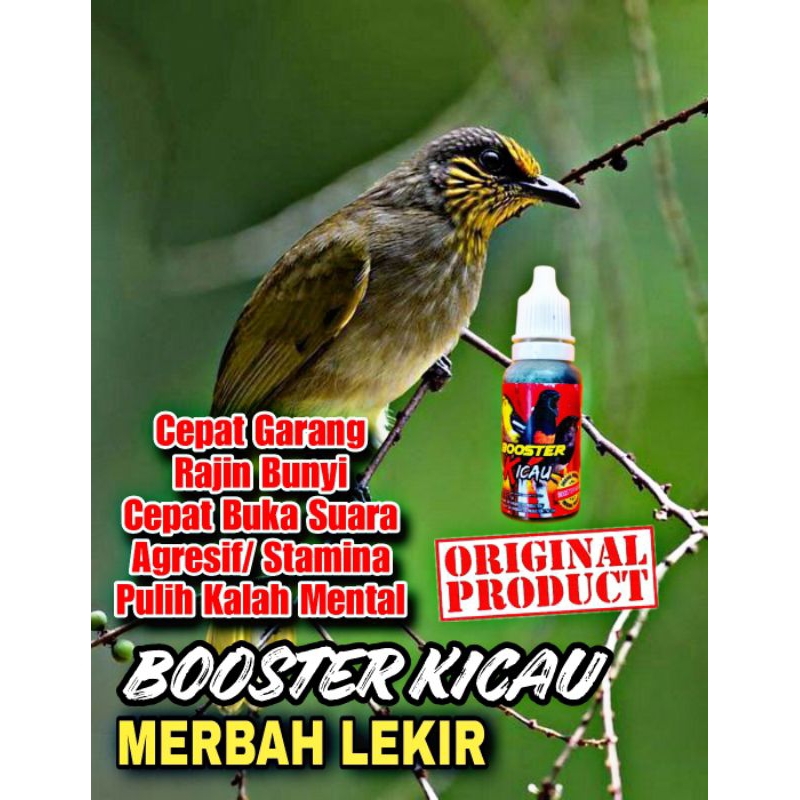 ⚡⚡𝐅𝐀𝐒𝐓 𝐒𝐇𝐈𝐏𝐏𝐈𝐍𝐆⚡⚡ 𝐁𝐎𝐎𝐒𝐓𝐄𝐑 𝐊𝐈𝐂𝐀𝐔 MERBAH LEKIR MERBAHKAPOR MERBAHKAMPUNG ...