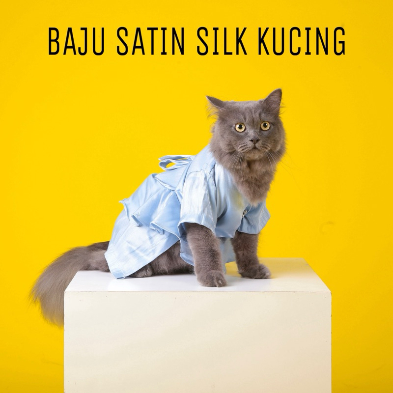 Baju Satin Silk Kucing betina cantik murah comel cute 2025 gemok cat ...