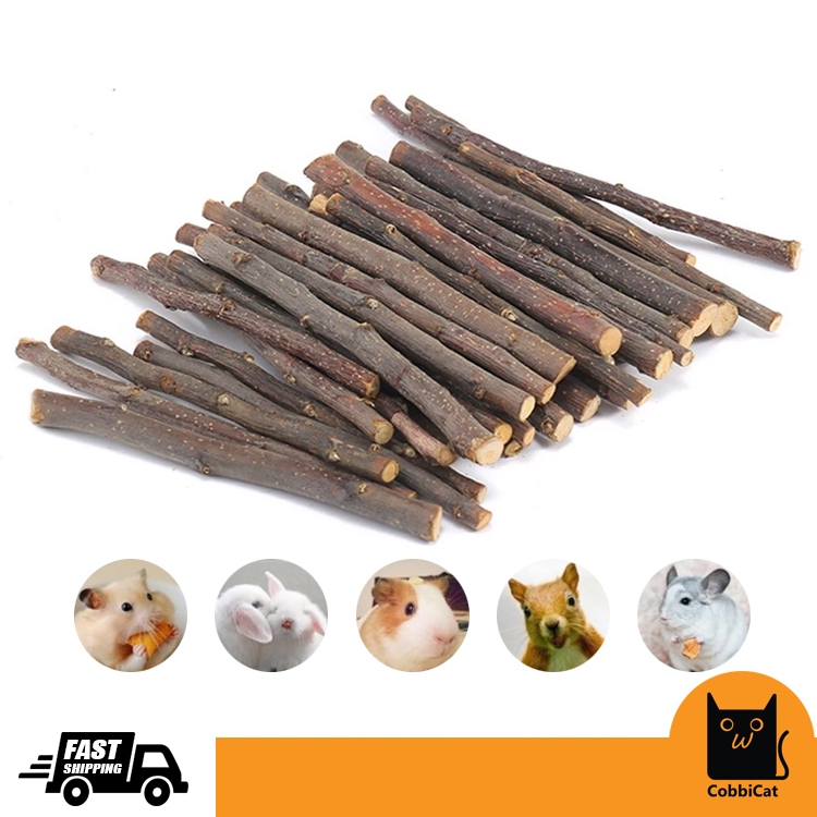 Natural Apple Branch Chewing Sticks 100g for Hamster Chinchilla Guinea ...