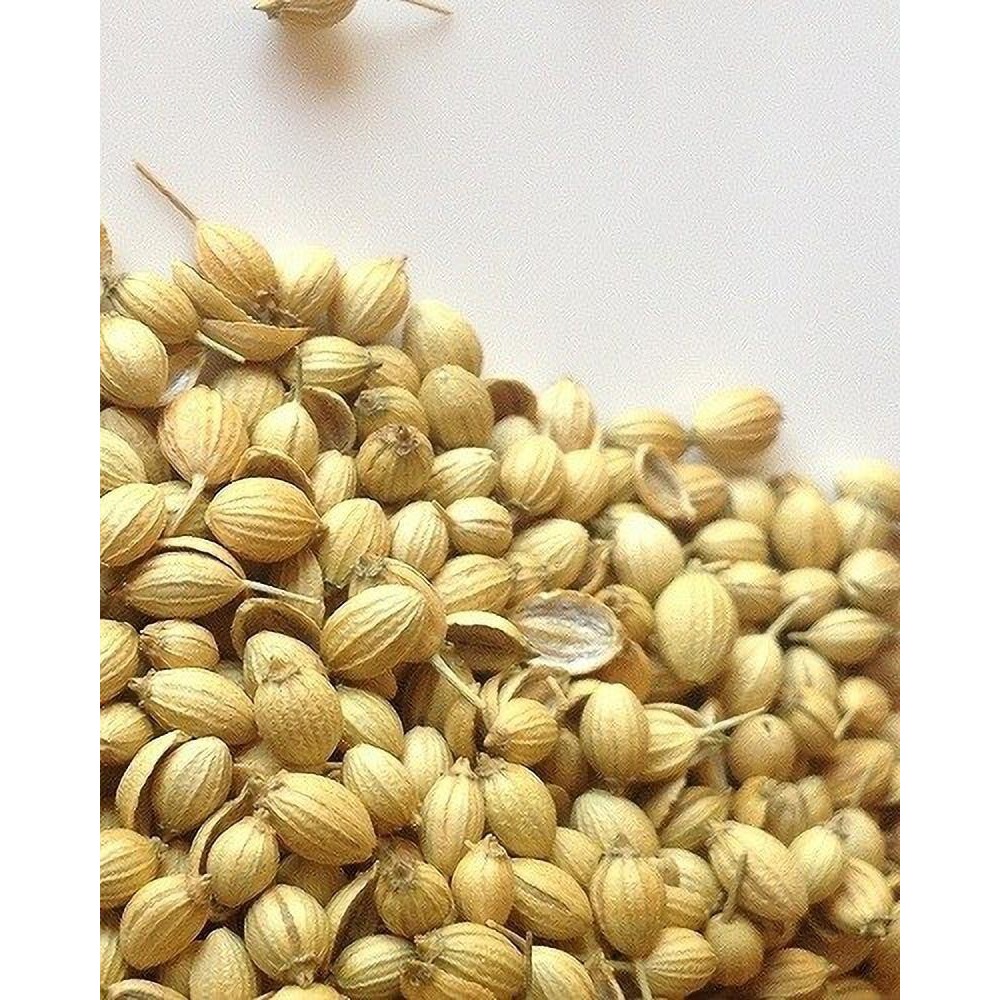 Sabut Dhania Coriander Seeds dhania coir 100g | Shopee Malaysia