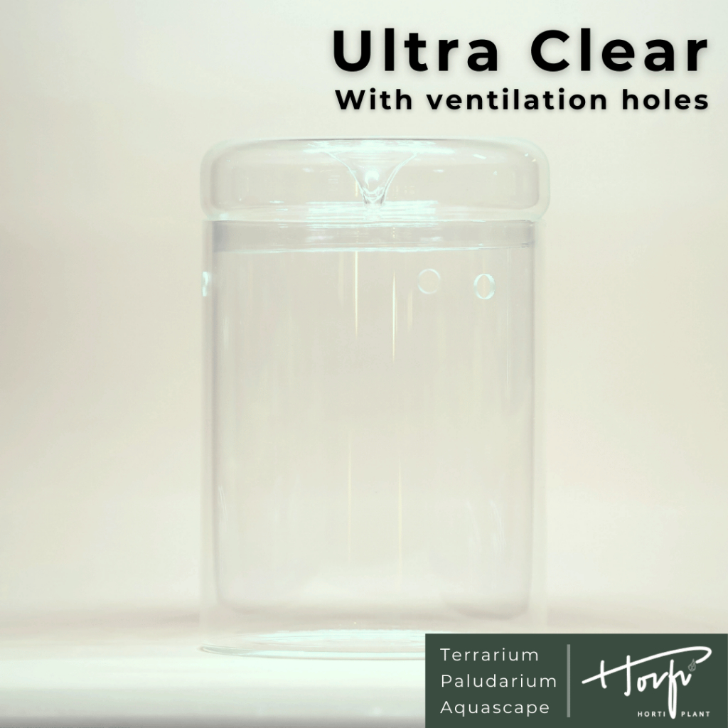 [Horti] Bioactive Terrarium Glass (Small) - Ultra Clear Glass Container ...