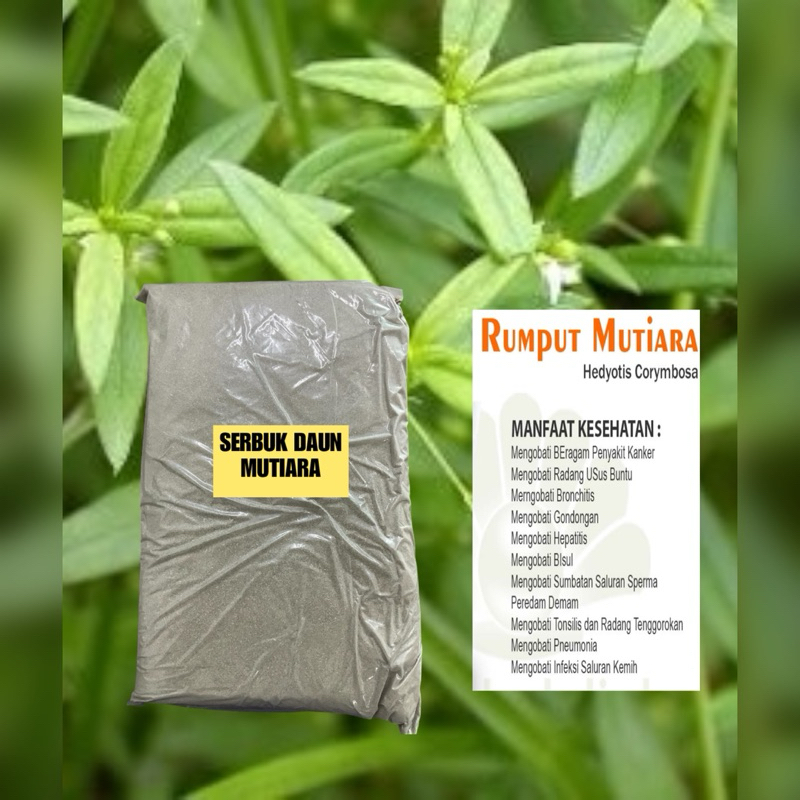 SERBUK RUMPUT MUTIARA 100g | Shopee Malaysia