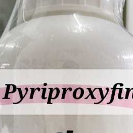 Pyriproxyfen 500ml (Racun Serangga) | Shopee Malaysia