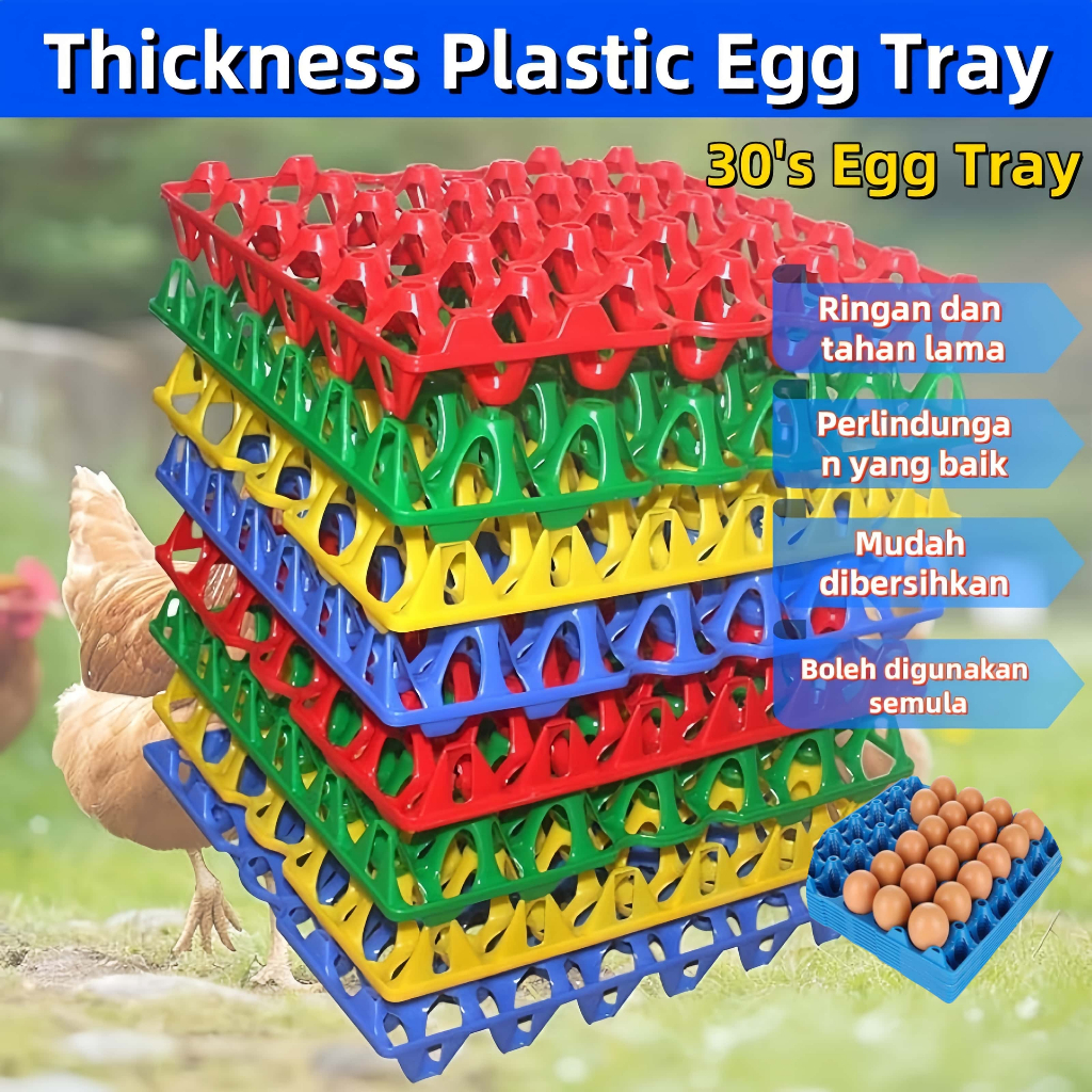 Plastic Egg Tray / Egg Storage 30 Pcs / Dulang Telur Plastik Papan ...