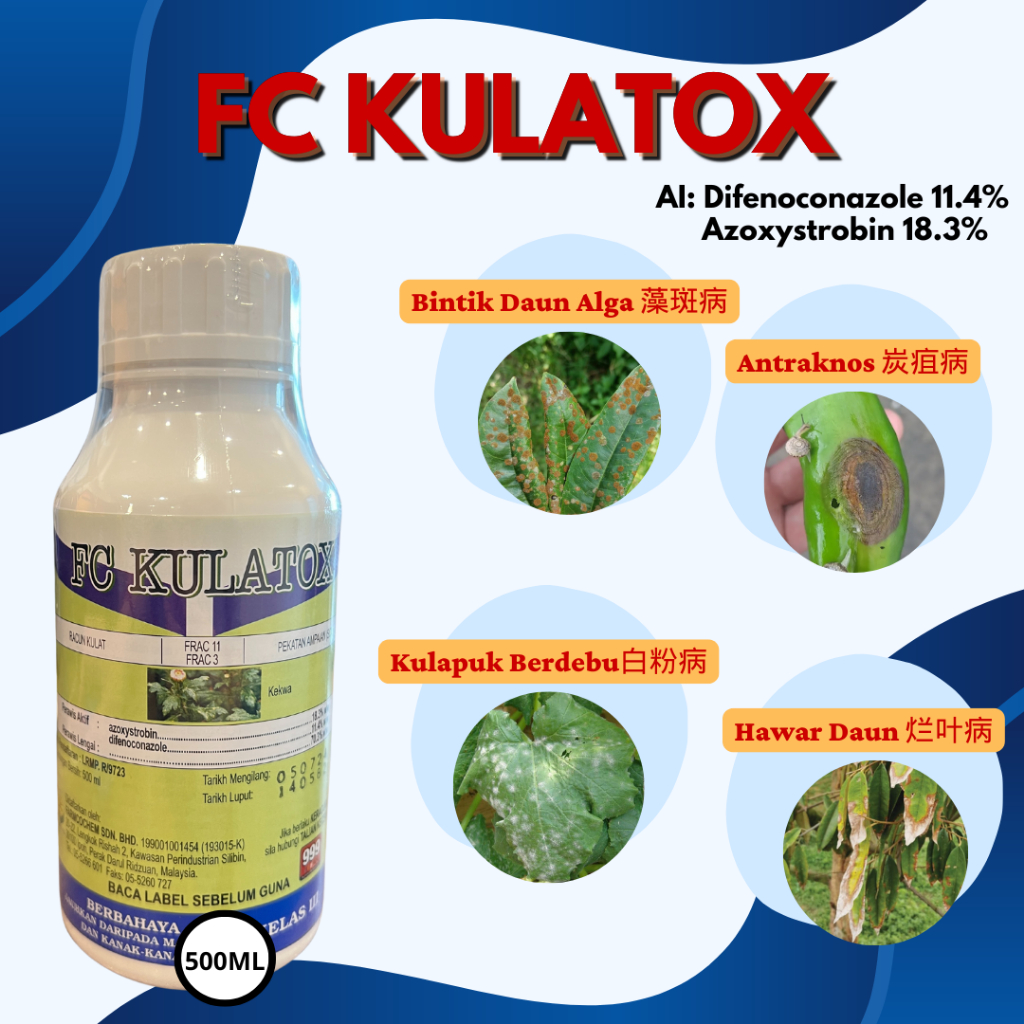 【Bintik Daun Alga/Hawar Daun/Antraknos/Reput Daun烂叶病 炭疽病】FC Kulatox ...