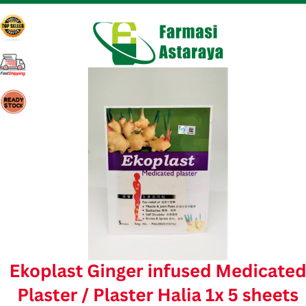 Ekoplast Ginger infused Medicated Plaster / Plaster Halia (1x 5 sheets ...