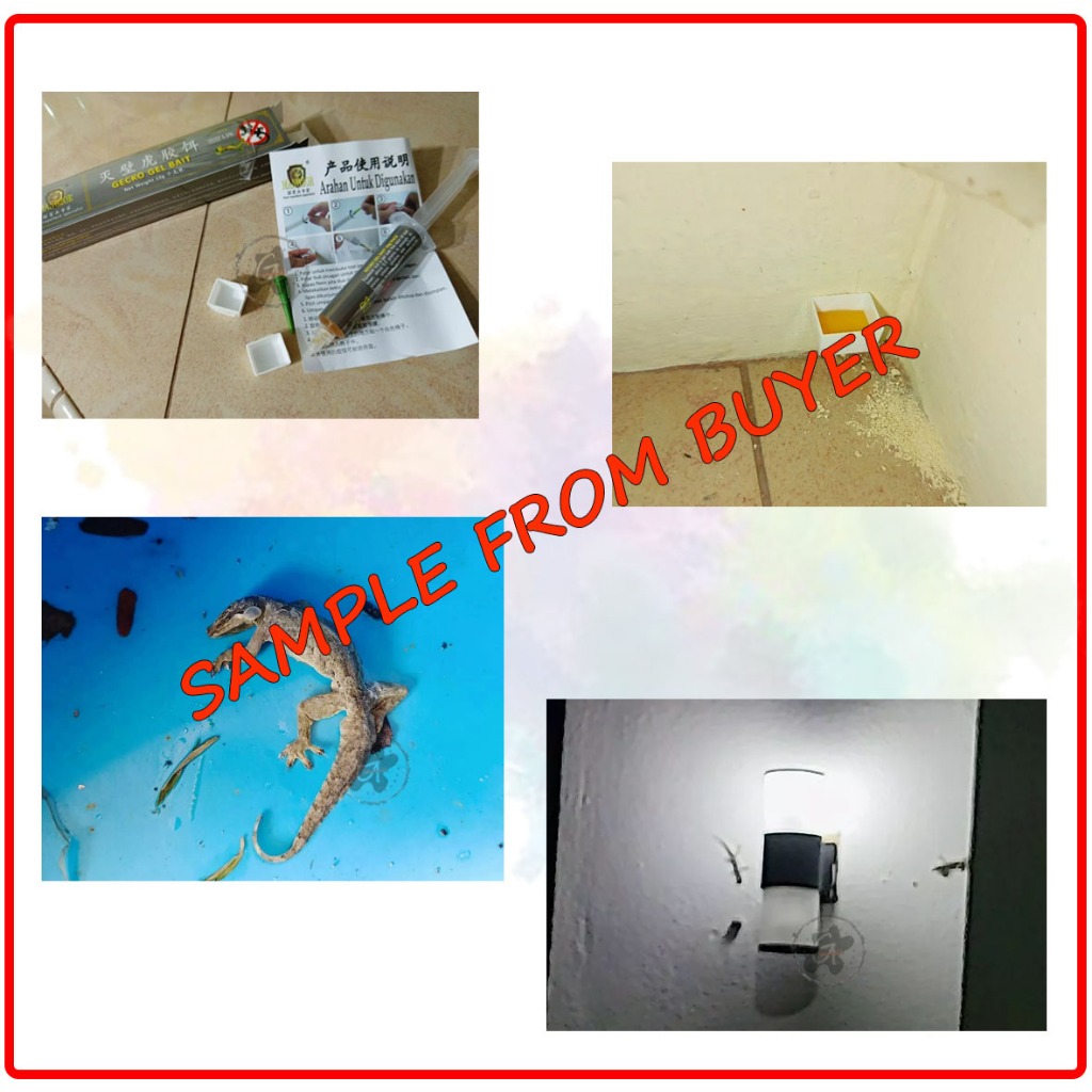 Mangzor Racun Cicak Gel Bait Lizard Umpan Tokek Ubat Gecko Killer ...