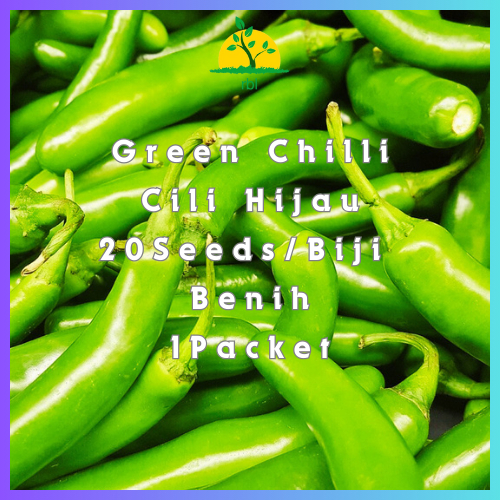 Biji Benih Cili Hijau 🔥🔥🔥 Green Chilli Seeds ( 20 Seeds ) Sayur Sayuran ...