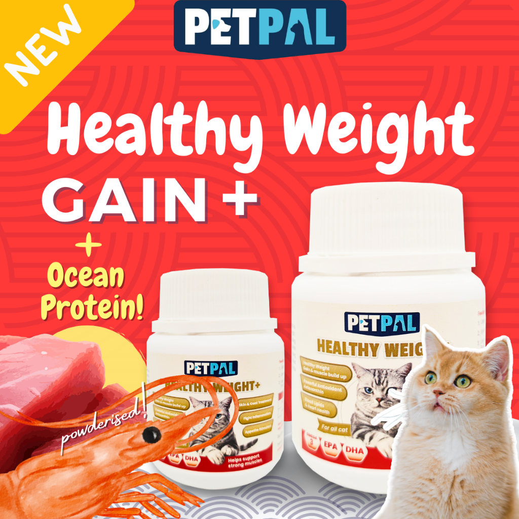 Petpal® Healthy Weight+ Gain Cat Supplement | Appetite Boost with ...