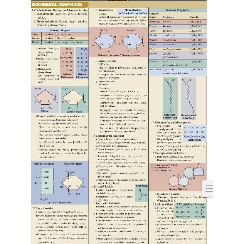 Biochemistry (BarCharts QuickStudy) | Shopee Malaysia