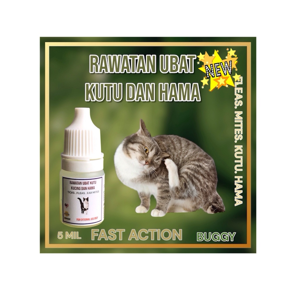 Ubat kutu kucing dan Hama, Cat fleas, ticks , lices and Mites. Ubat ...