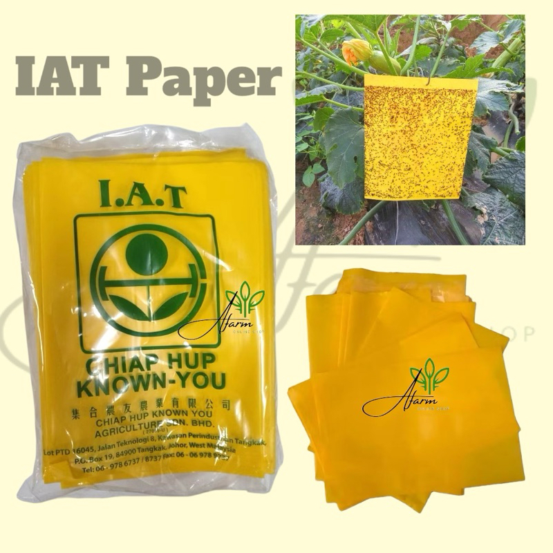 Paket 1kg IAT Chiap Hup Know You Plastik Polybag Kuning Tiada Gam ...