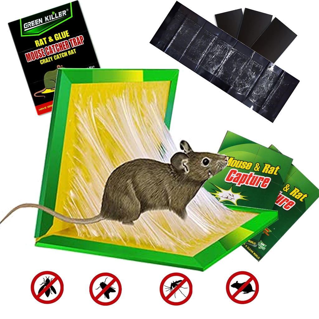 Heavy-Duty Rat Eliminator Mouse Rat Trap | Shopee Malaysia