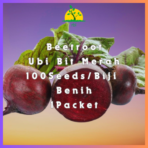 Biji Benih Ubi Bit Merah Beetroot Seeds ( 100 Seeds ) Sayur Sayuran ...