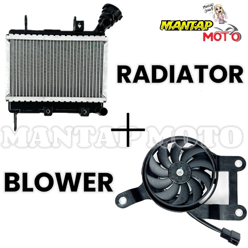 YAMAHA Y16ZR Y16 V1 V2 STANDARD RADIATOR & BLOWER COOLANT TANK TANGKI ...