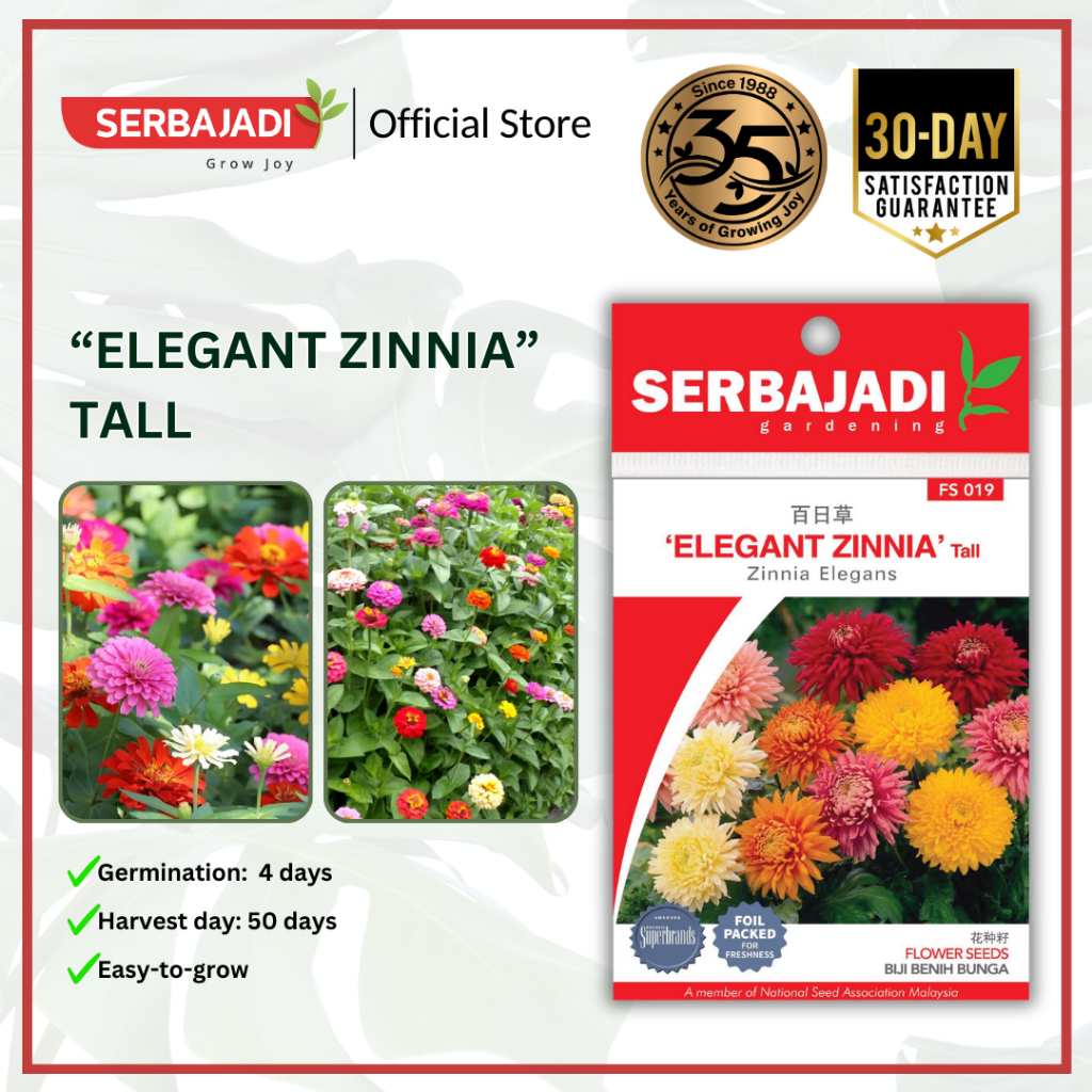 Serbajadi Flower Seed Hybrid Elegant Zinnia - Tall/ Biji Benih Bunga ...
