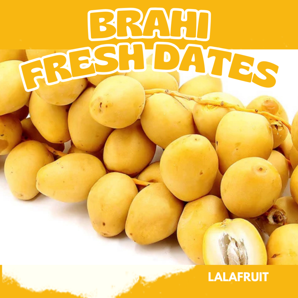 Brahi Kurma Muda Rangup Fresh 500g | Shopee Malaysia