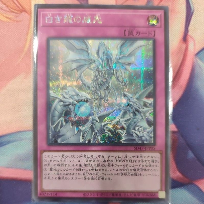YUGIOH SD47-JPP05 Majesty with Dragons of White (SR) | Shopee Malaysia
