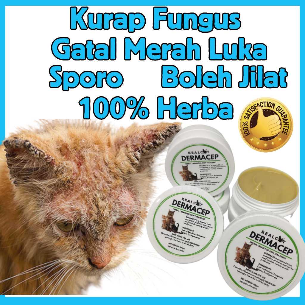 Ubat Kurap Kucing Krim Kurap Kucing Ringworm Cream Kurap Kucing Gatal ...