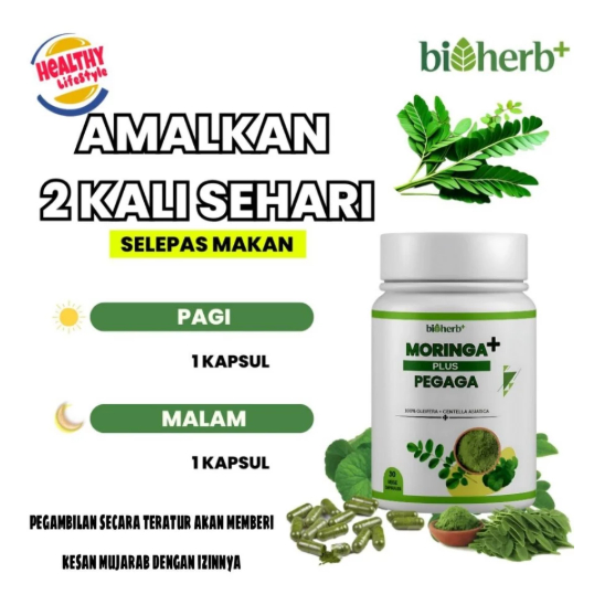 Bioherbs Moringa Plus Pegaga Original | High Manufacture | Healthy ...