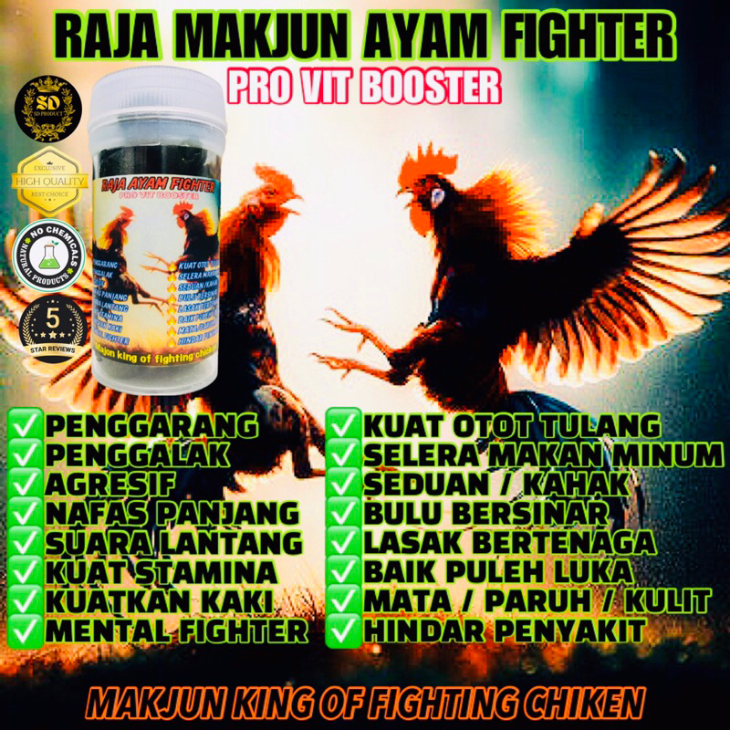 Raja majon ayam fighter king of fighting chiken | Shopee Malaysia