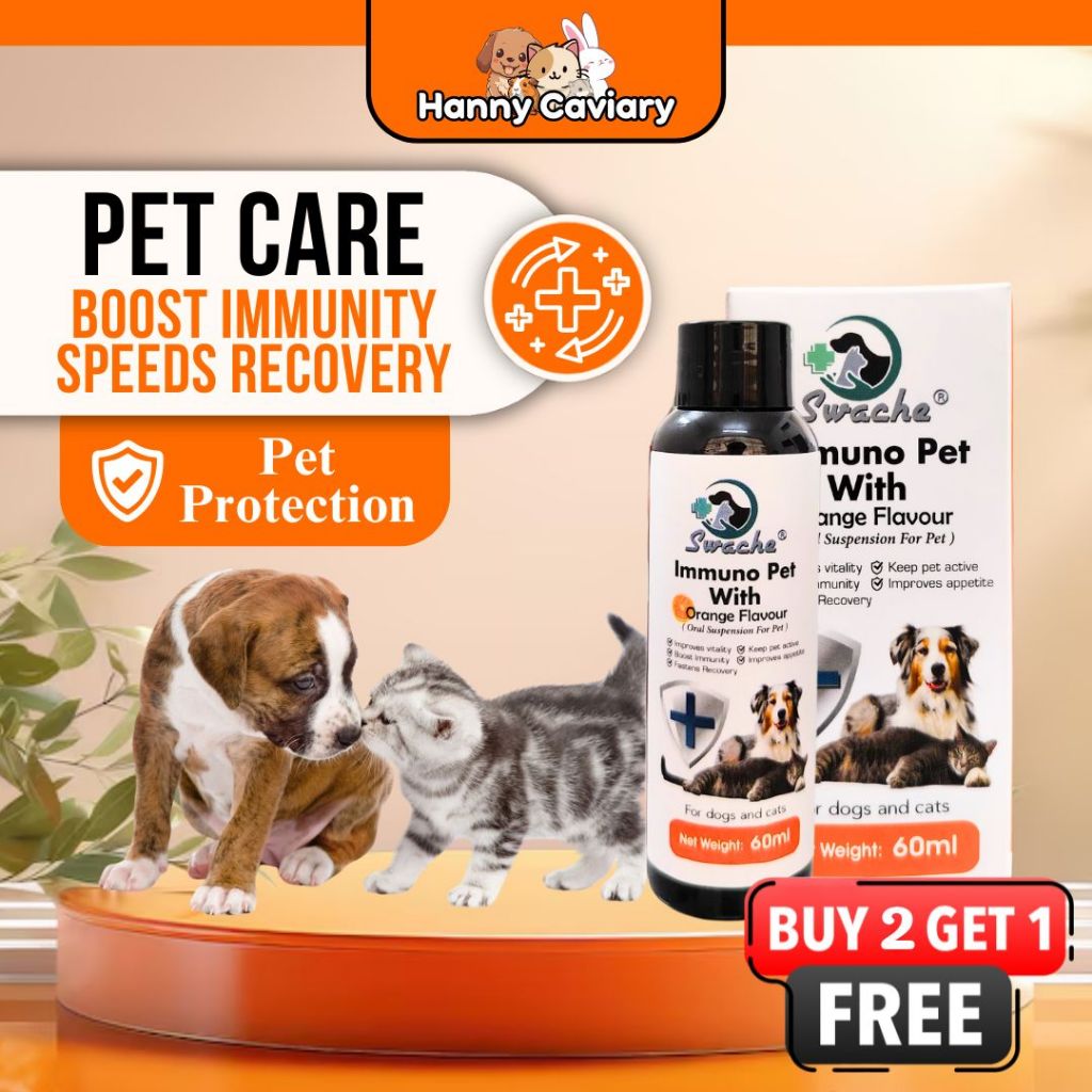 Swache Immuno Pet - Orange Flavor & Immune Booster for Pet (60ml) [Free ...