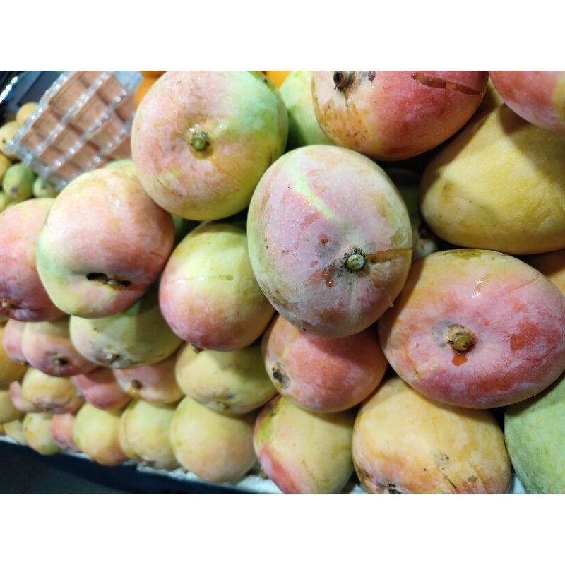 MANGGA EPAL FRESH MANIS 1 kilo | Shopee Malaysia