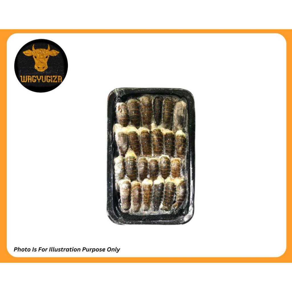 Frozen Headless Baby Lobster (200g each tray) | Shopee Malaysia