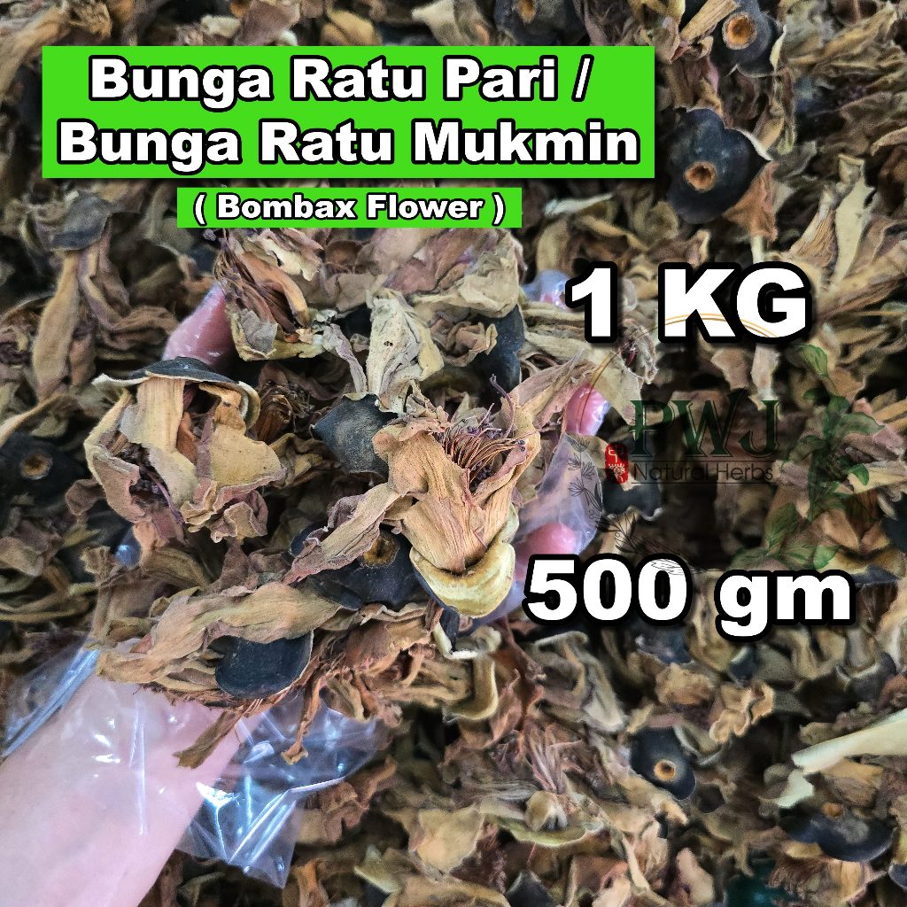 Bunga Ratu Pari / Mukmin, Bambax Flower 木棉花 (500g & 1kg) | Shopee Malaysia