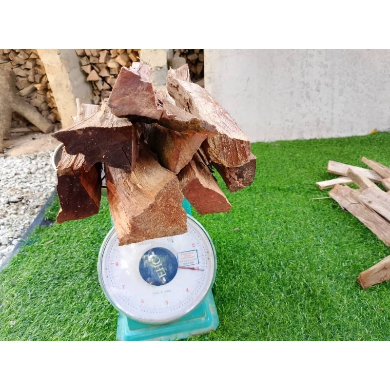 [3kg] Kayu Unggun Api, Kayu Hutan Potong 1 Kaki Panjang, BBQ, Outdoor ...