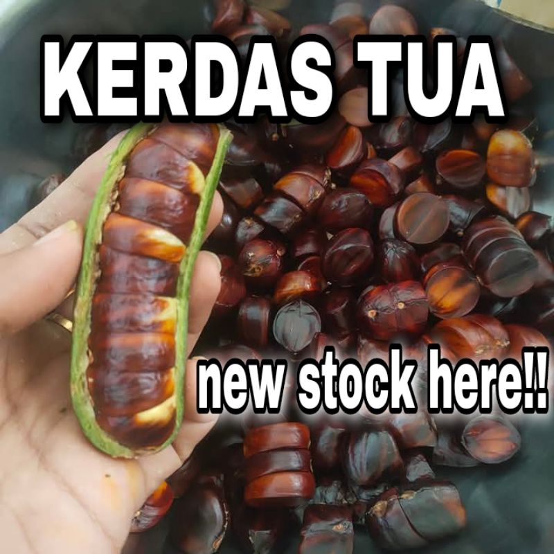 KERDAS TUA KAMPUNG FRESH GENUAK LEMAK 1KG TANPA KULIT | Shopee Malaysia