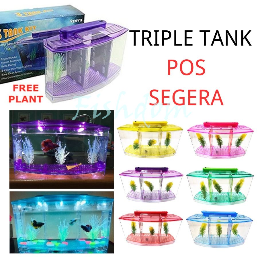 FISHDOM 3 TANK KIT BETTA FISH BOW-FRONT MINI AQUARIUM IKAN TANGKi ...