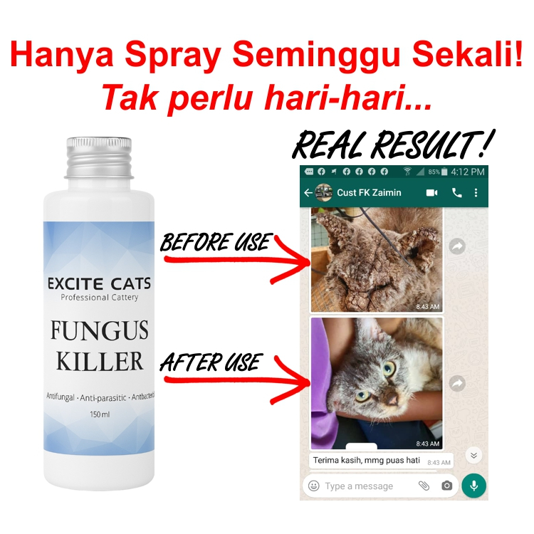 Excite Cats Fungus Killer Ubat Kurap Kucing Ubat Fungus Untuk Kucing ...