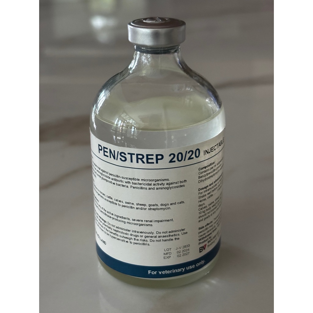 Penisilin PEN/STREP 100 ml | Shopee Malaysia