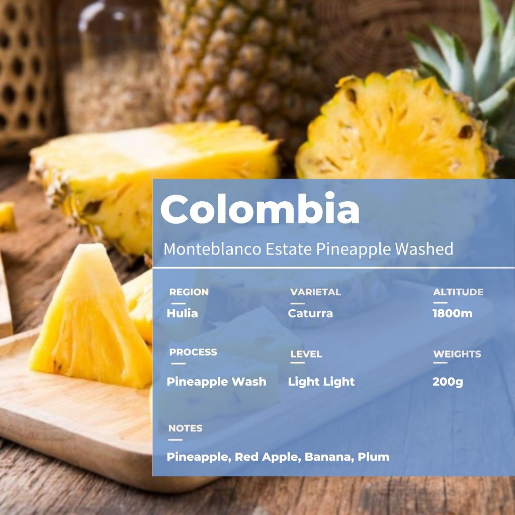 [Coffee Icon] Specialty Bean 200g - Colombia Hulia Monteblanco Estate ...