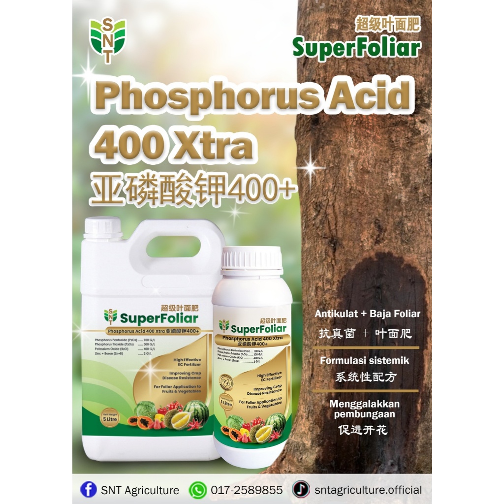 SNT SuperFoliar Phosphorus Acid 400Xtra 超级叶面肥 1L for durian tree - cancer, Phytophthora and Buah ...